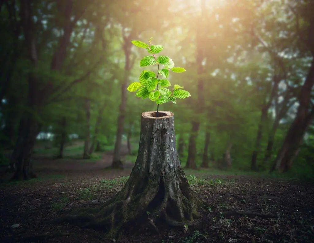 Perseverance vs Resilience - Self Help Powers Perseverance vs Resilience - Self Help Powers