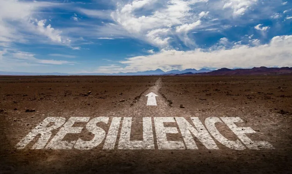 Perseverance vs Resilience - Self Help Powers